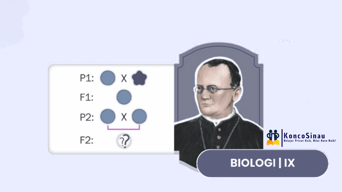 Hukum Mendel 1 & 2 Dijelaskan Super Mudah + Contoh Soal & Pembahasan ...